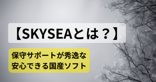 SKYSEAとは？…実績・知名度が急上昇している理由を解説 | ITセキュリティの真実を語る【正論突破】